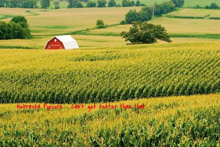 Simply A-Maize-N Popcorn & Snacks