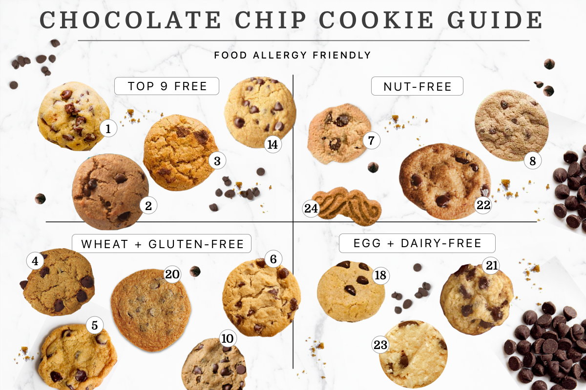 Descriptive Words to Describe Chocolate Chip Cookies - Urijah-has-Leblanc