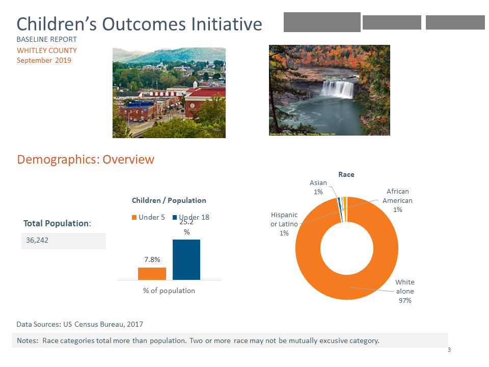 Designing a visual report in PowerPoint: a client case study — Echo Rivera