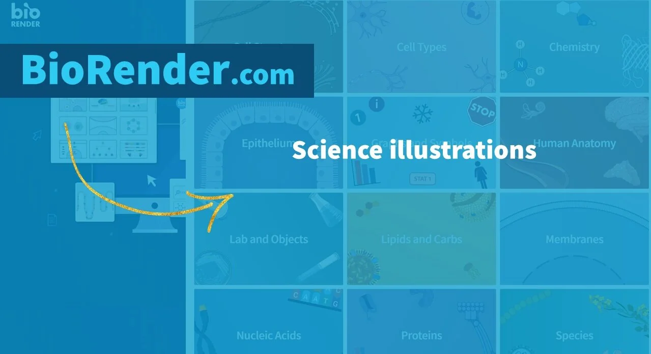 How to Create Visual Presentations SUPER FAST (and for free!) — Echo Rivera