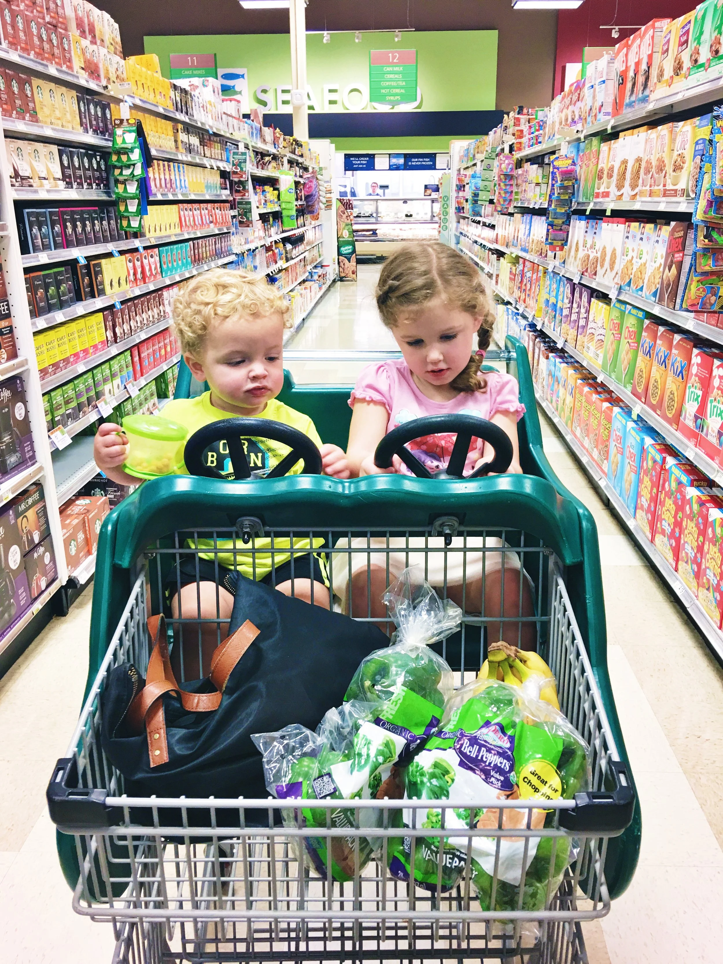 7 Tips For Grocery Shopping With Young Kids A Mom Explores Family