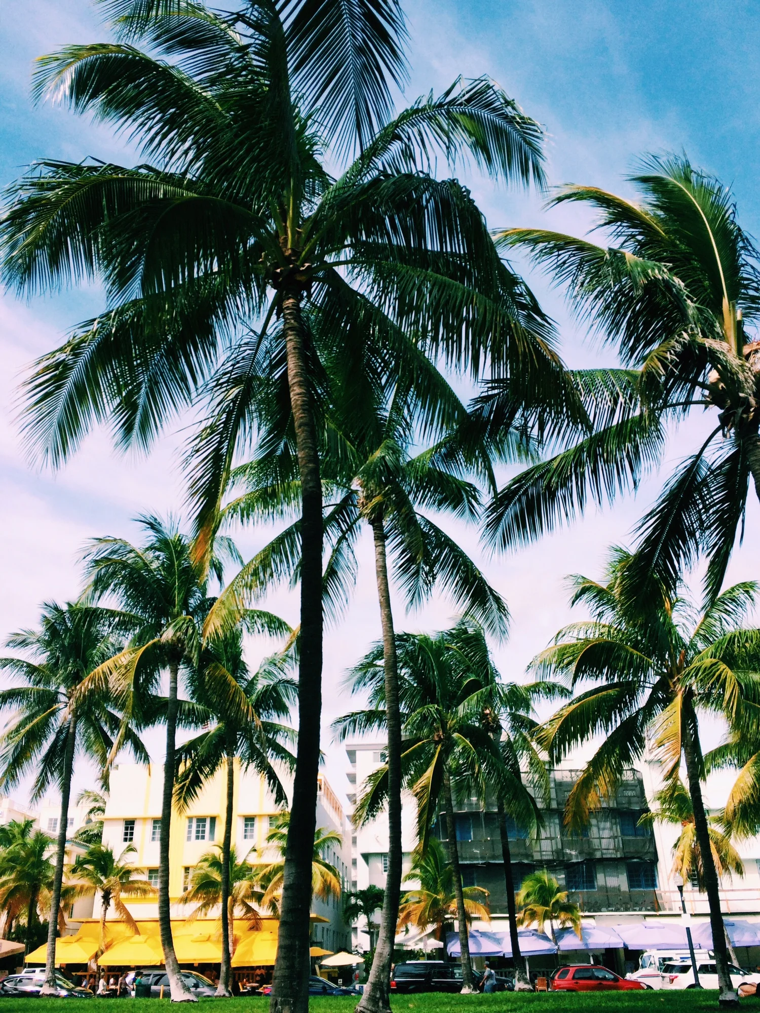 Miami Family Travel Guide — A Mom Explores | Family Travel Tips ...