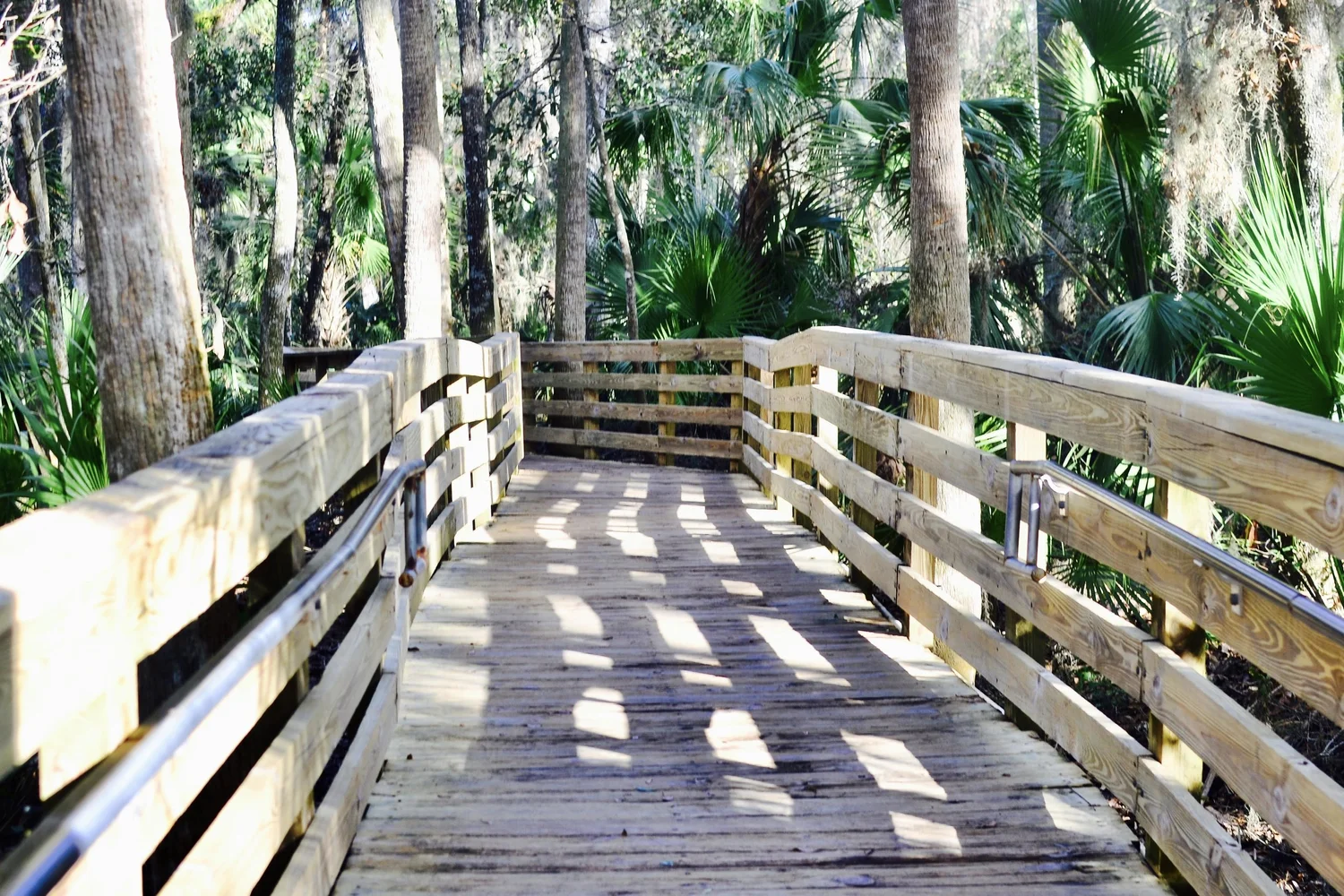 13 Easy Day Trips from Orlando to Enhance your Disney Vacation — A Mom ...