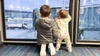 Top Tips for Flying with a 1-Year-Old — A Mom Explores | Family Travel ...