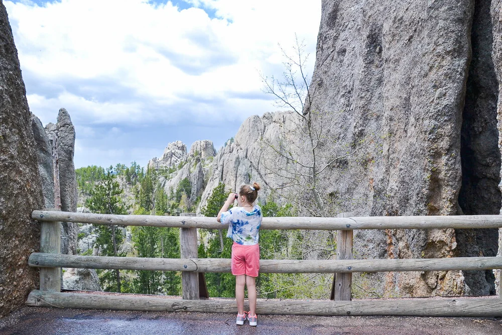 Things to Do in Custer State Park with Kids — A Mom Explores | Family ...