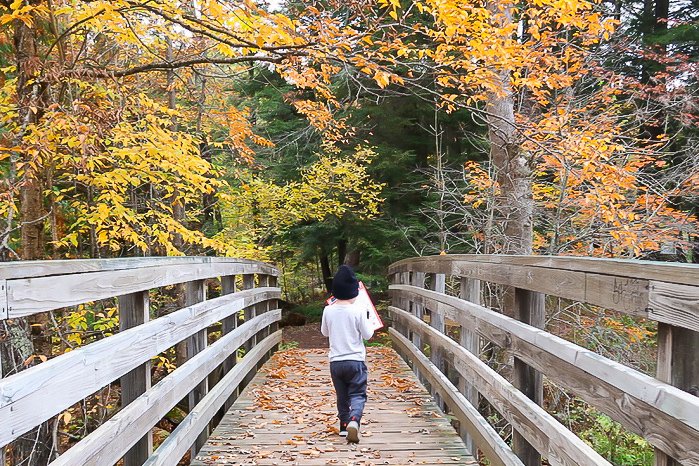 The Best Weekend Getaways in Wisconsin for Families — A Mom Explores ...
