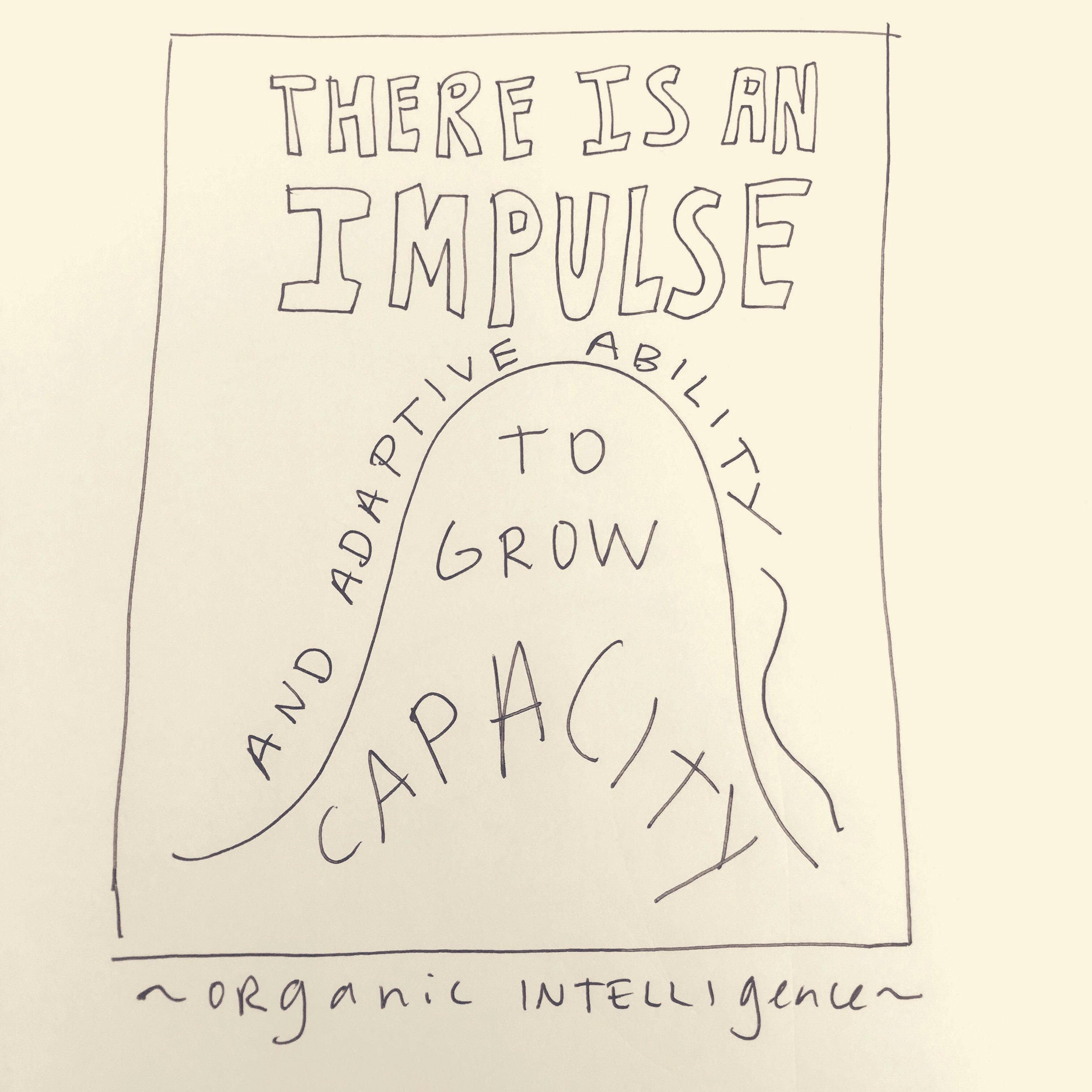 Organic Intelligence® — Movement & Creativity