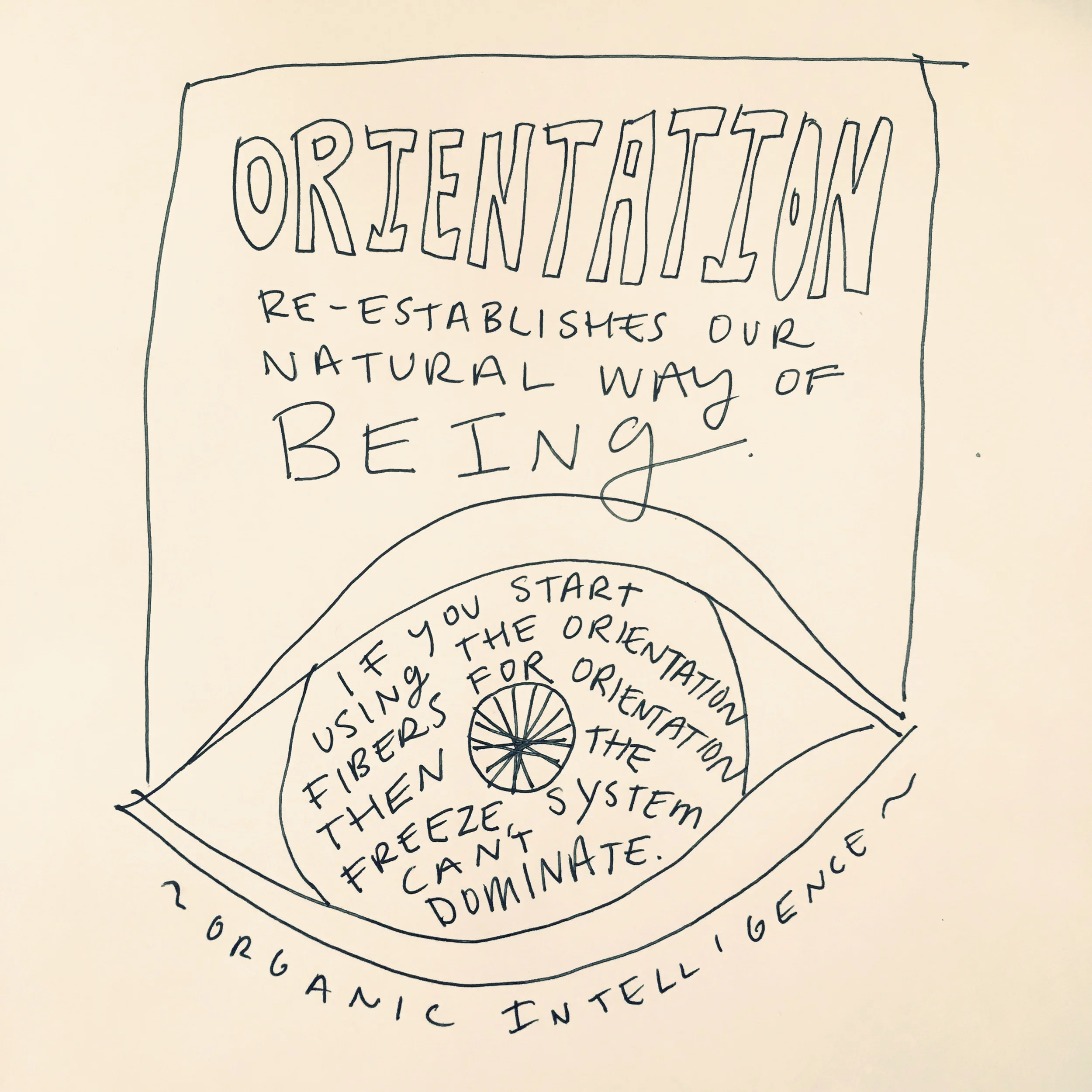 Organic Intelligence® — Movement & Creativity