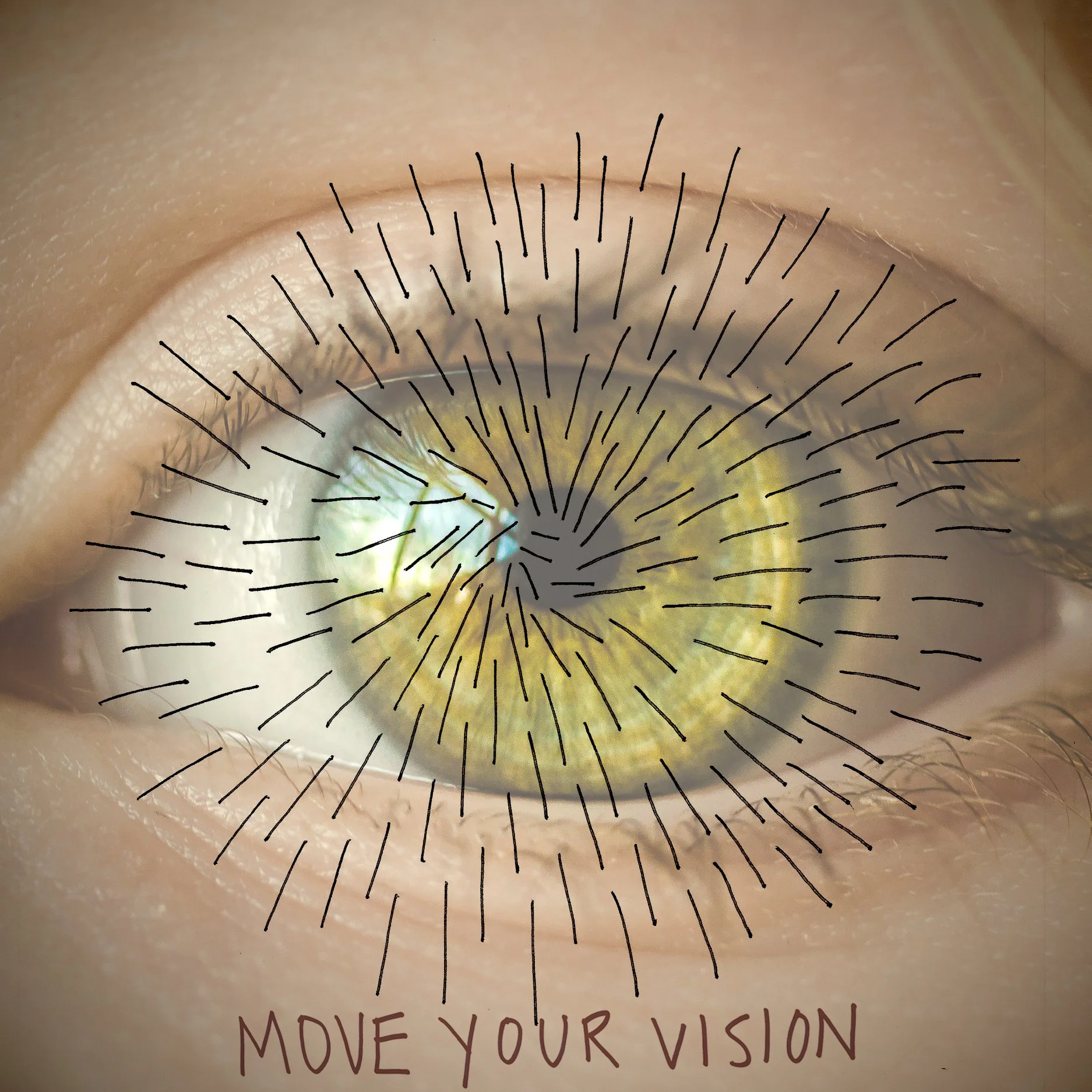 What Supports You to Move Your Vision? — Movement & Creativity