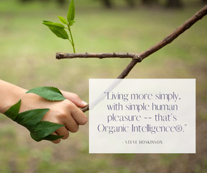 Organic Intelligence® — Movement & Creativity