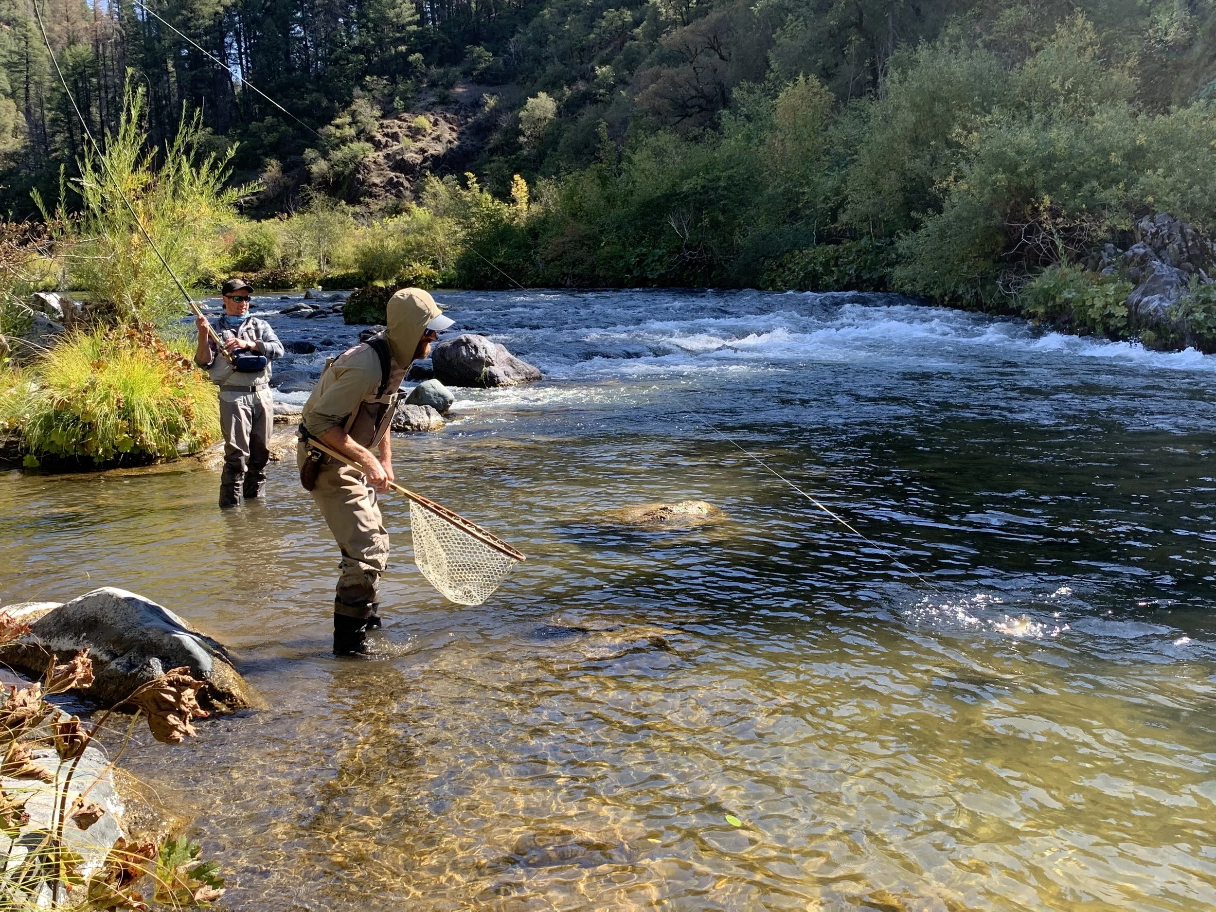 Fly Fishing Trips near Redding, CA — Grunt Fly Fishing