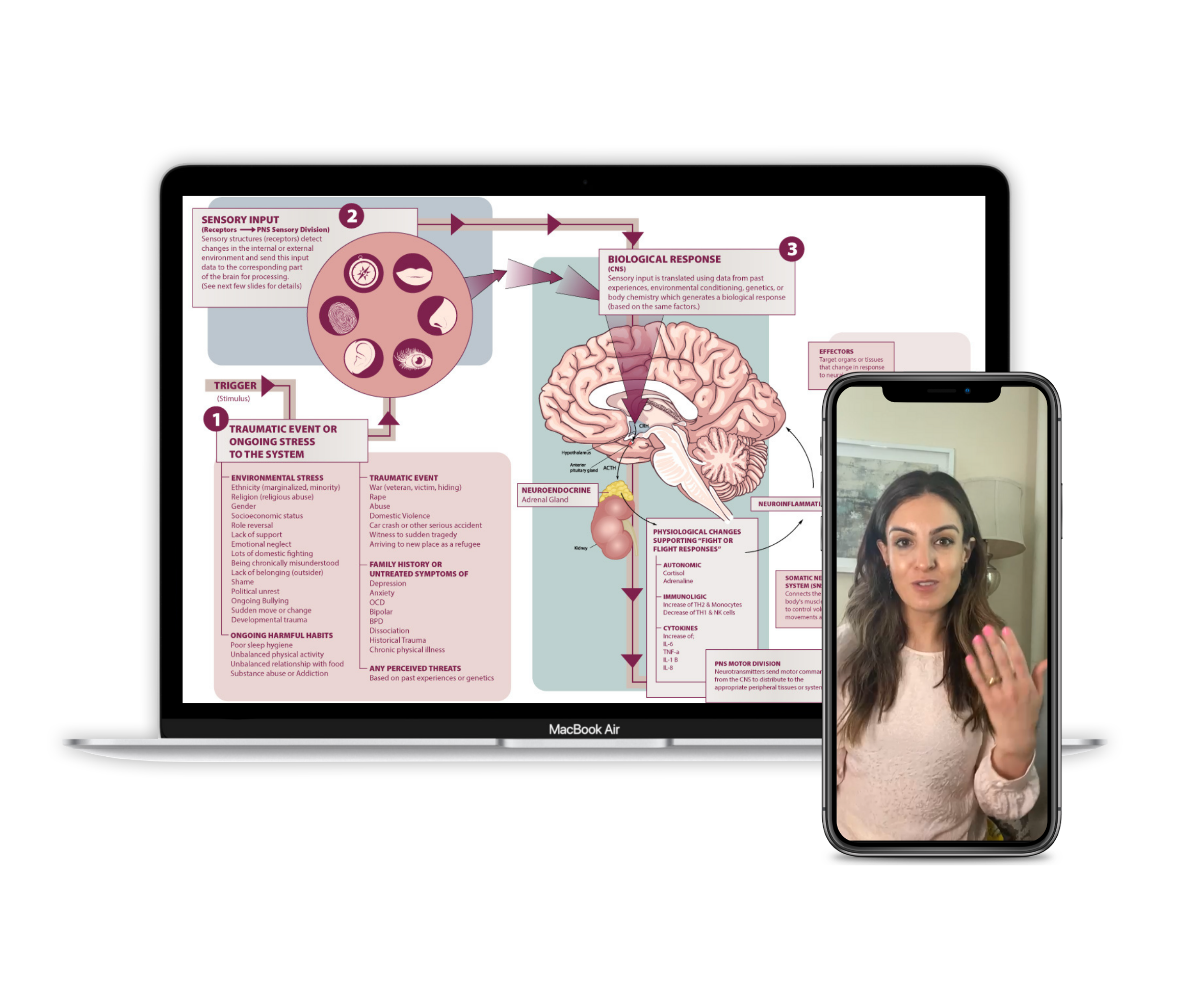 Trauma Therapist Training & Consultation - Integrative Psychotherapy ...