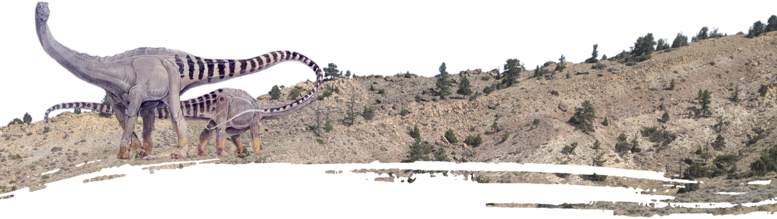Fossil Dig Expeditions — Elevation Science Institute