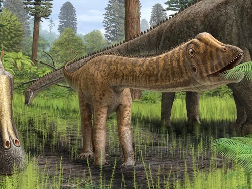 Dinosaurs of the Morrison Formation Part I: Sauropods — Elevation ...