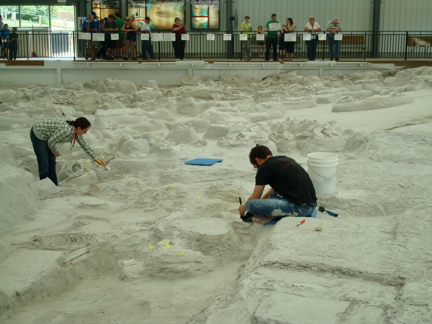 Paleontology Internship Opportunities — Elevation Science Institute