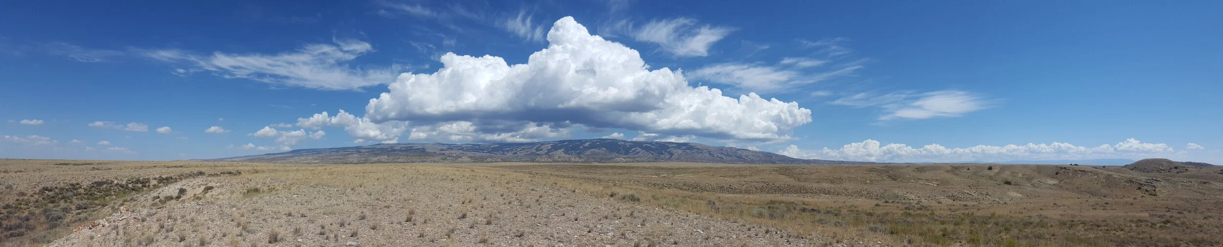 Elevation Science Institute