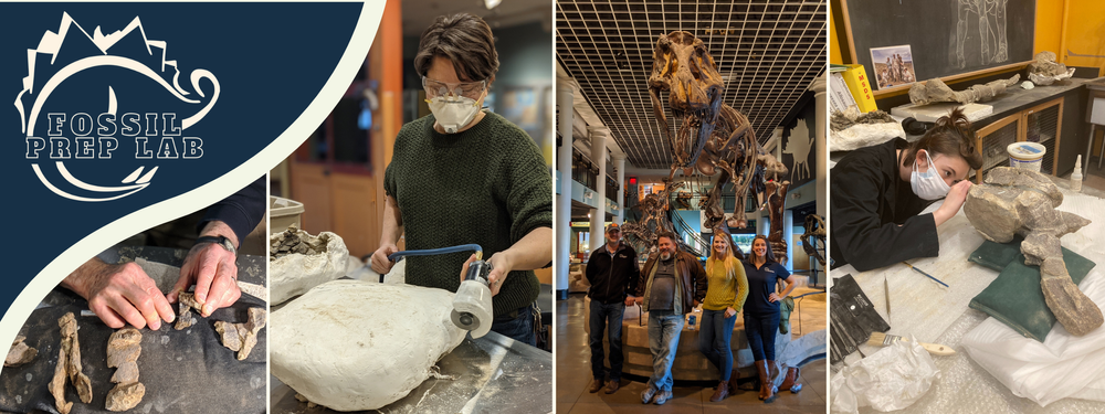 Visit The Fossil Prep Lab — Elevation Science Institute