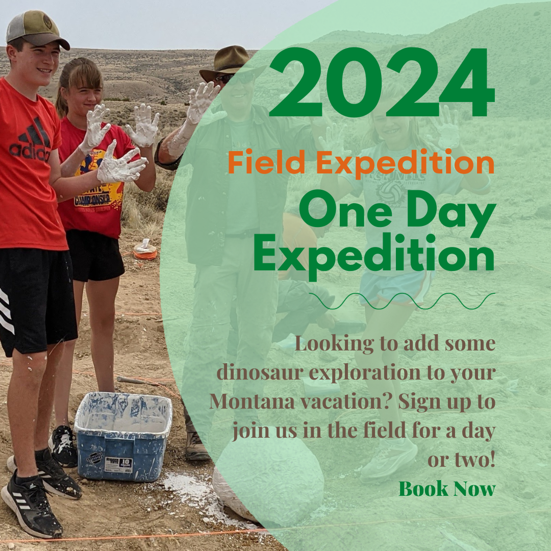 Purchase Field Experiences — Elevation Science Institute