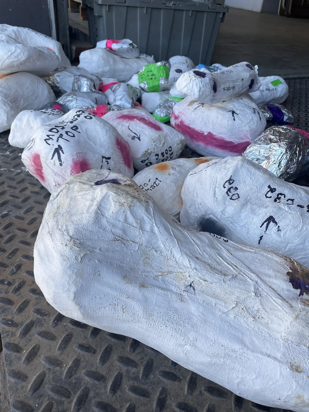 Visit The Fossil Prep Lab — Elevation Science Institute