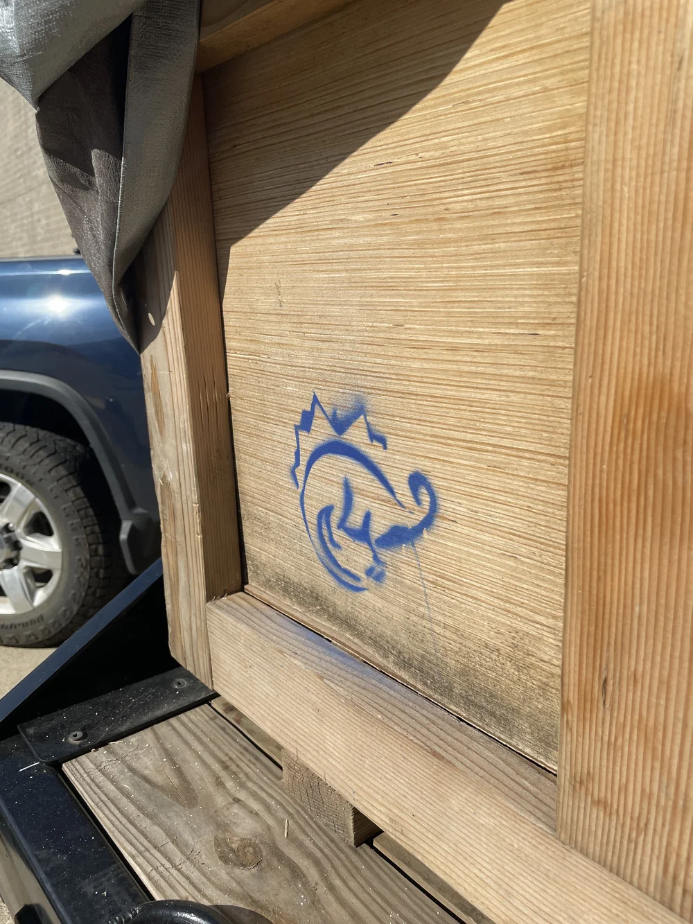 Visit The Fossil Prep Lab — Elevation Science Institute