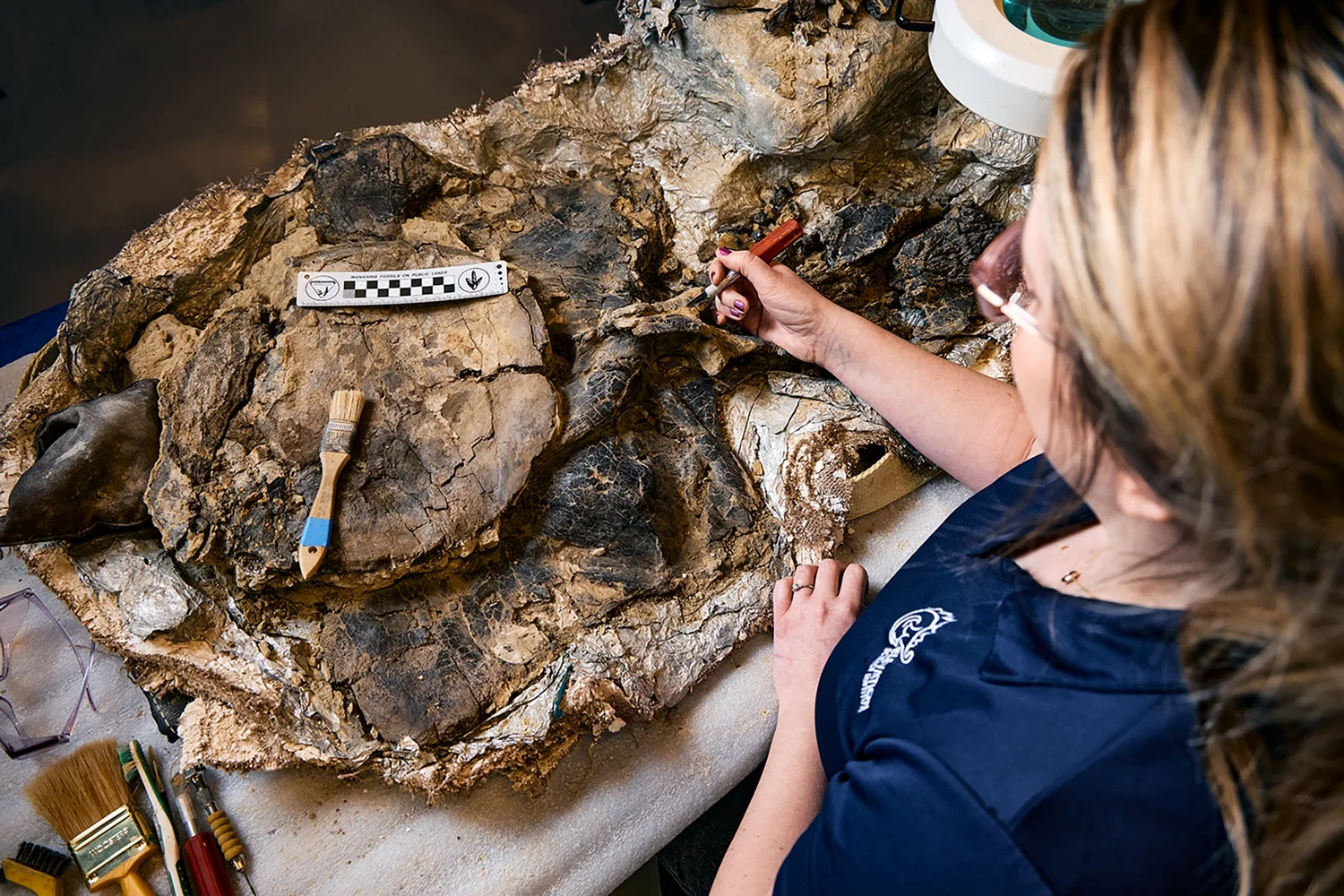 The Lab That Time Remembered — Elevation Science Institute