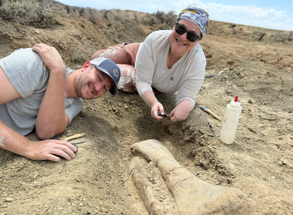 Fossil Dig Expeditions — Elevation Science Institute