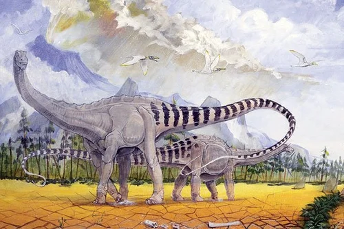 Dinosaurs of the Morrison Formation Part I: Sauropods — Elevation ...
