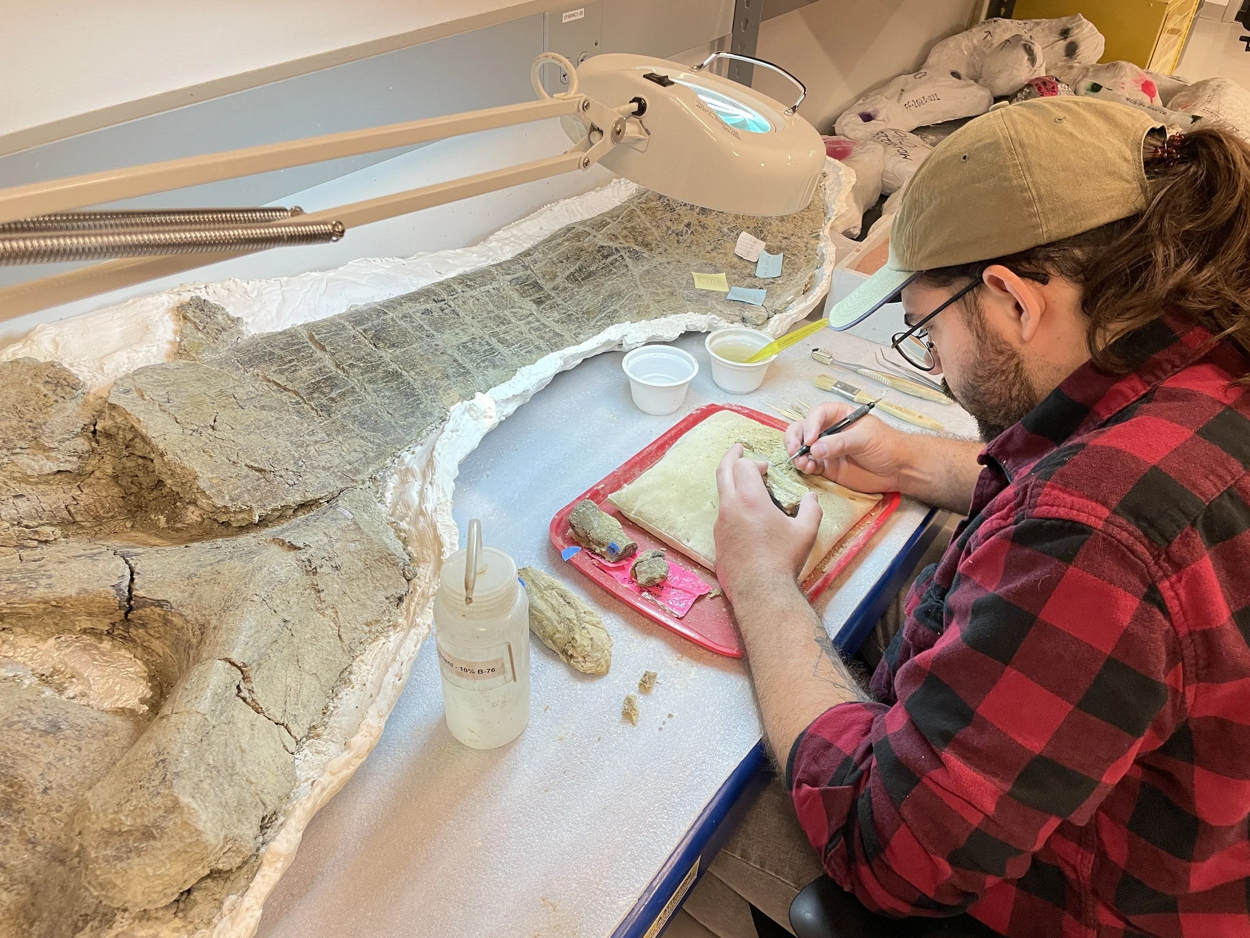 Visit The Fossil Prep Lab — Elevation Science Institute