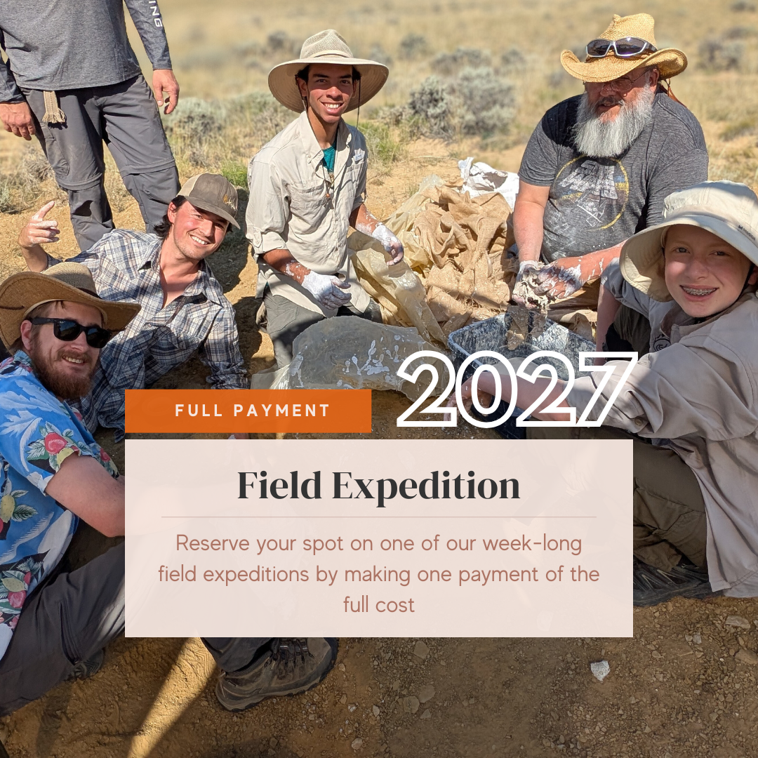 Purchase Paleo Field Experiences — Elevation Science Institute