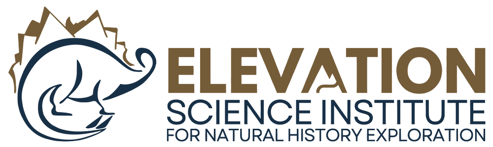 Funding Opportunities For Paleontology Research — Elevation Science ...