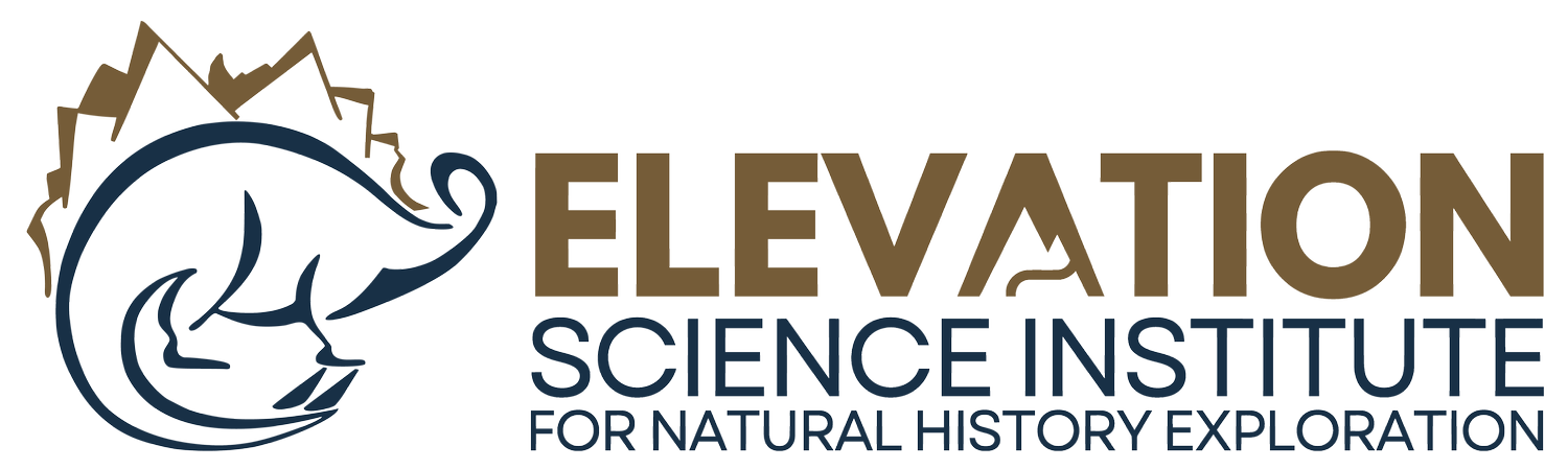 Funding Opportunities For Paleontology Research — Elevation Science ...