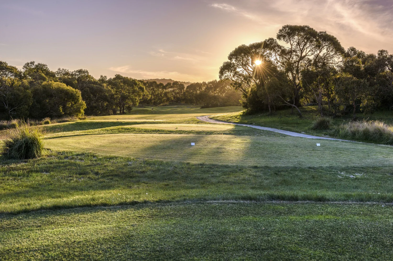 PLAY — Mount Compass