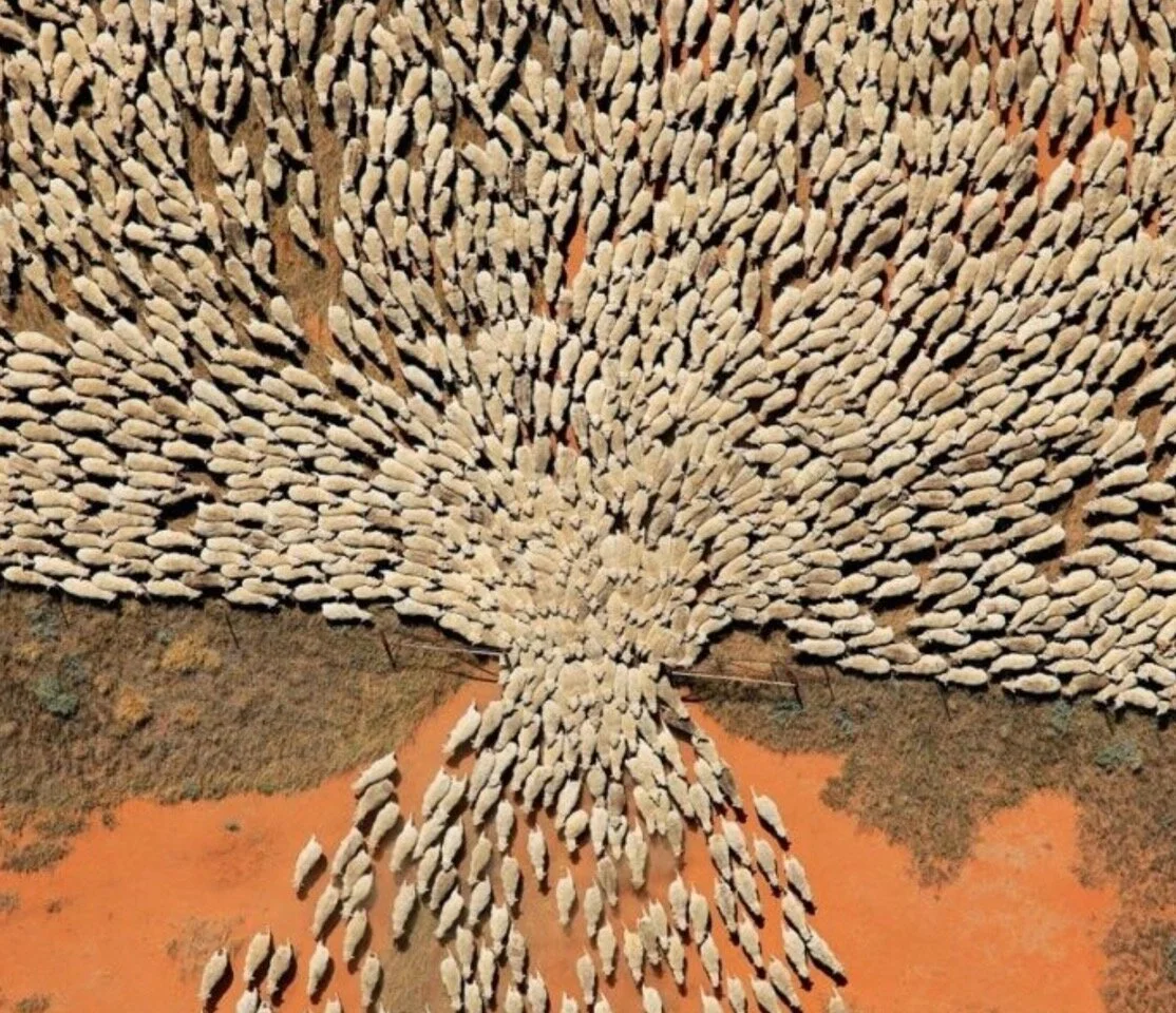 In the Studio — LUKE RABL ART