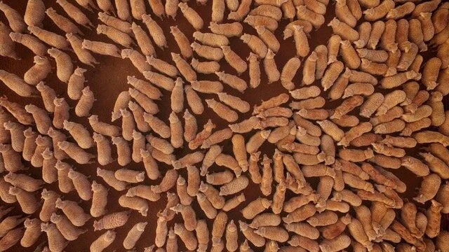 In the Studio — LUKE RABL ART