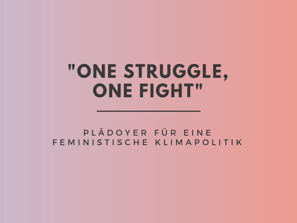 "One struggle, one fight“ Plädoyer für eine feministische Klimapolitik ...