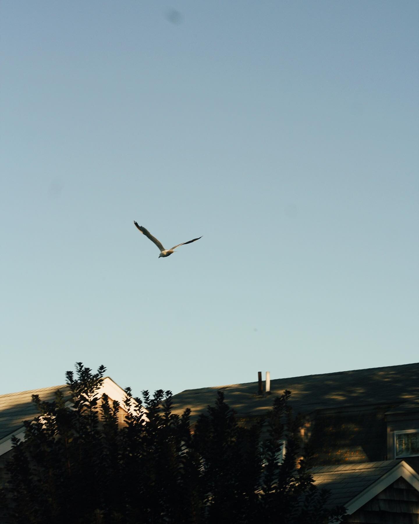 About — Alex Curley