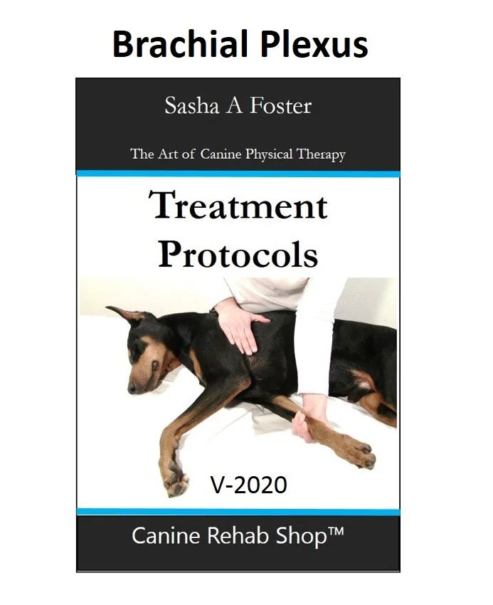 Brachial Plexus Injury In Dogs