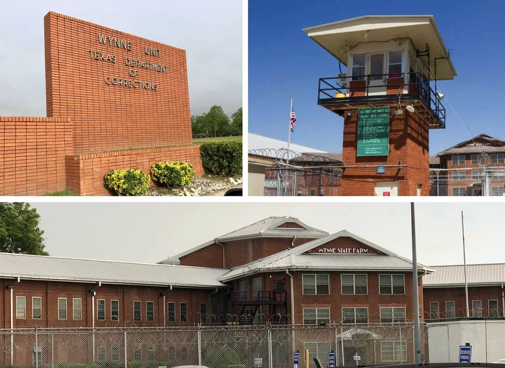 What I Learned In Prison Today — Tierce Green