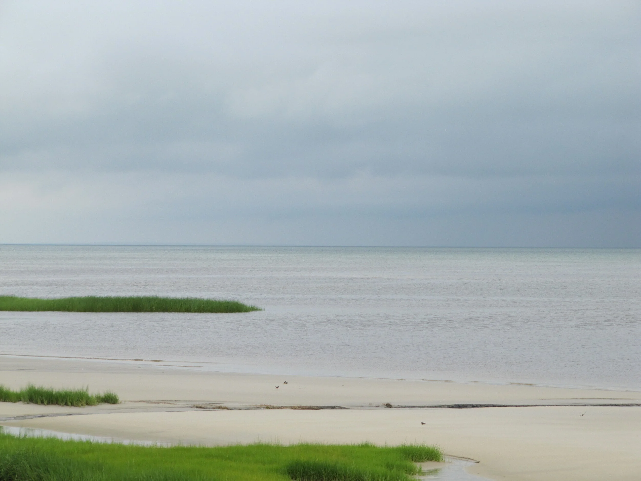 Beach Plum Properties