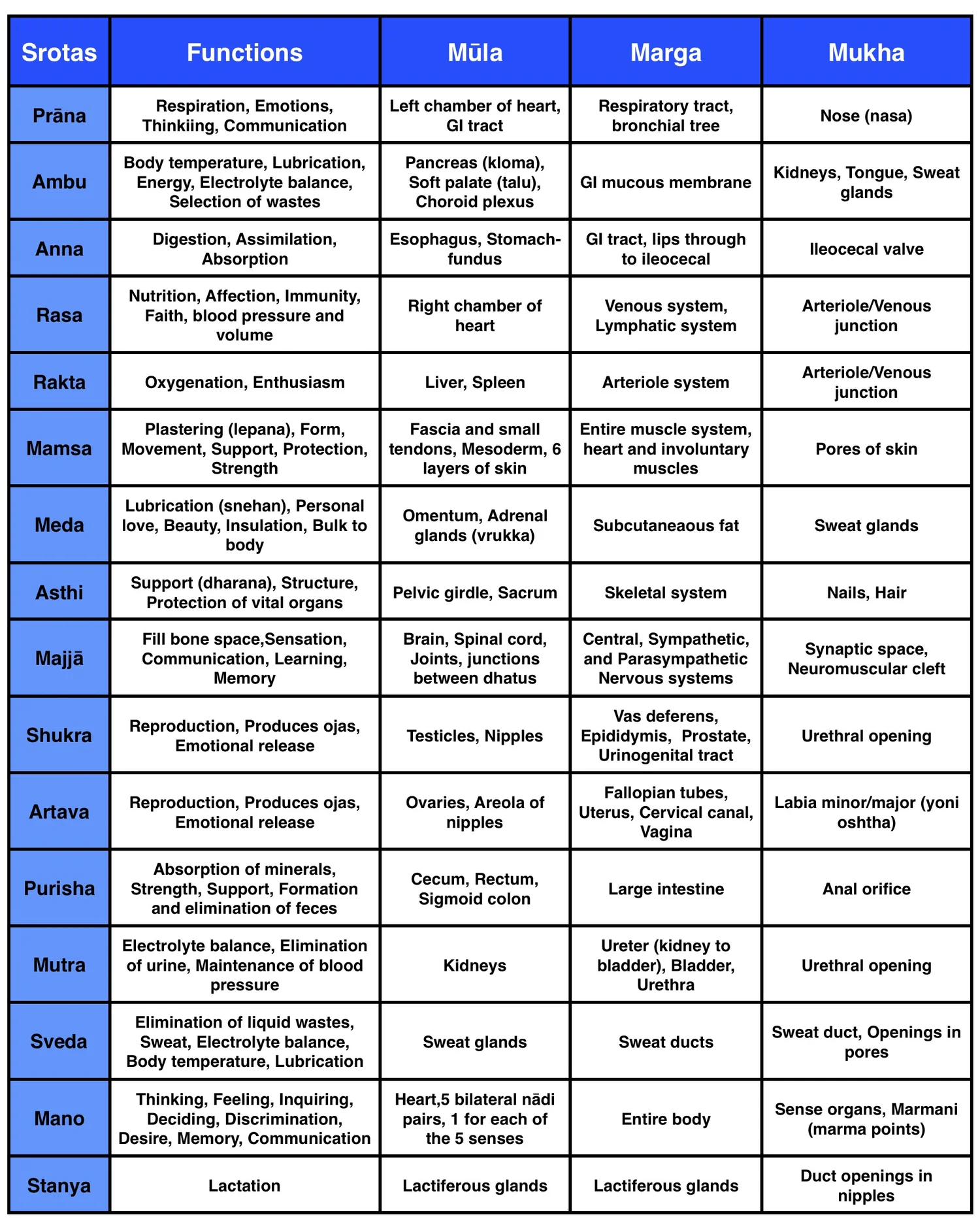 Srotamsi — Vibrational Ayurveda