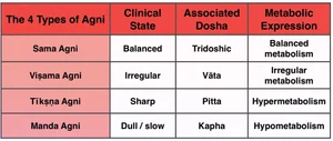 Agni and Āma — Vibrational Ayurveda