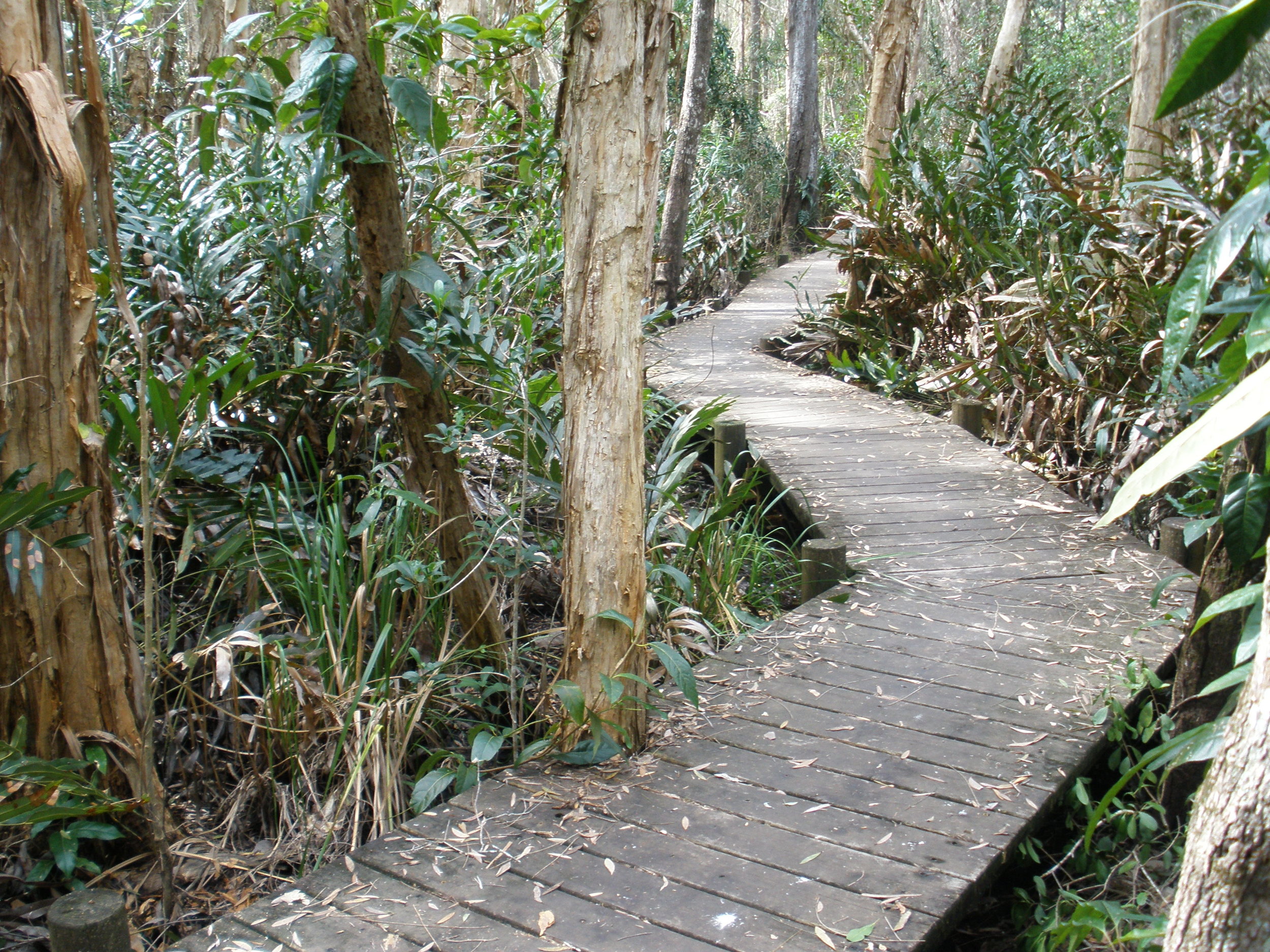 Maroochy Wetlands Sanctuary Eco-Hunt — QuestaGame