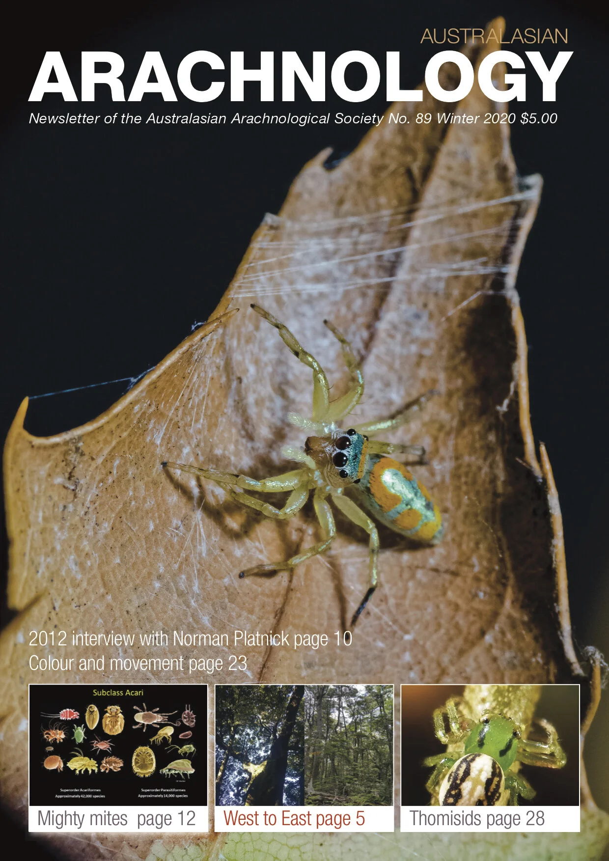 Arachnology Magazine - Spiders will Never Look the Same Again — QuestaGame