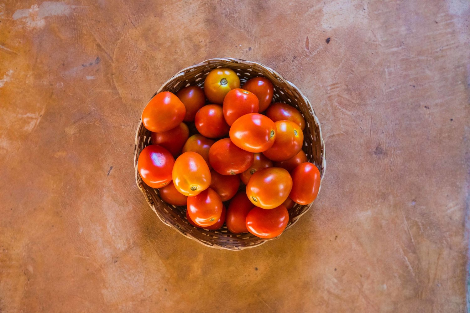 TO-MATO OR NOT TO-MATO: THAT IS THE QUESTION — Jasmine Hemsley