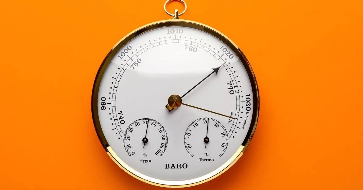 Edelman Trust Barometer & Brand Growth | Branch & Bramble