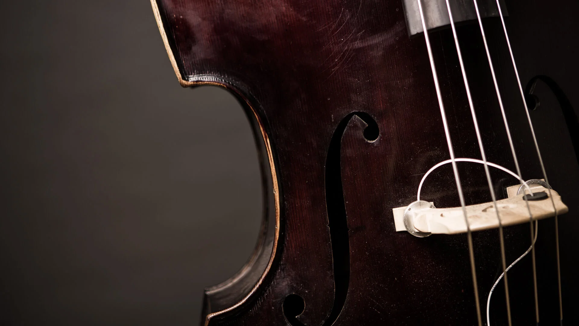The Double Bass Survival Guide — Discover Double Bass