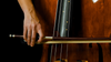 Double Bass Articulations & Markings Guide — Discover Double Bass