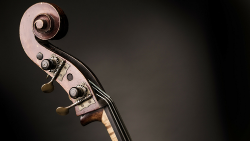 Double Bass Left Hand Technique Lesson — Discover Double Bass
