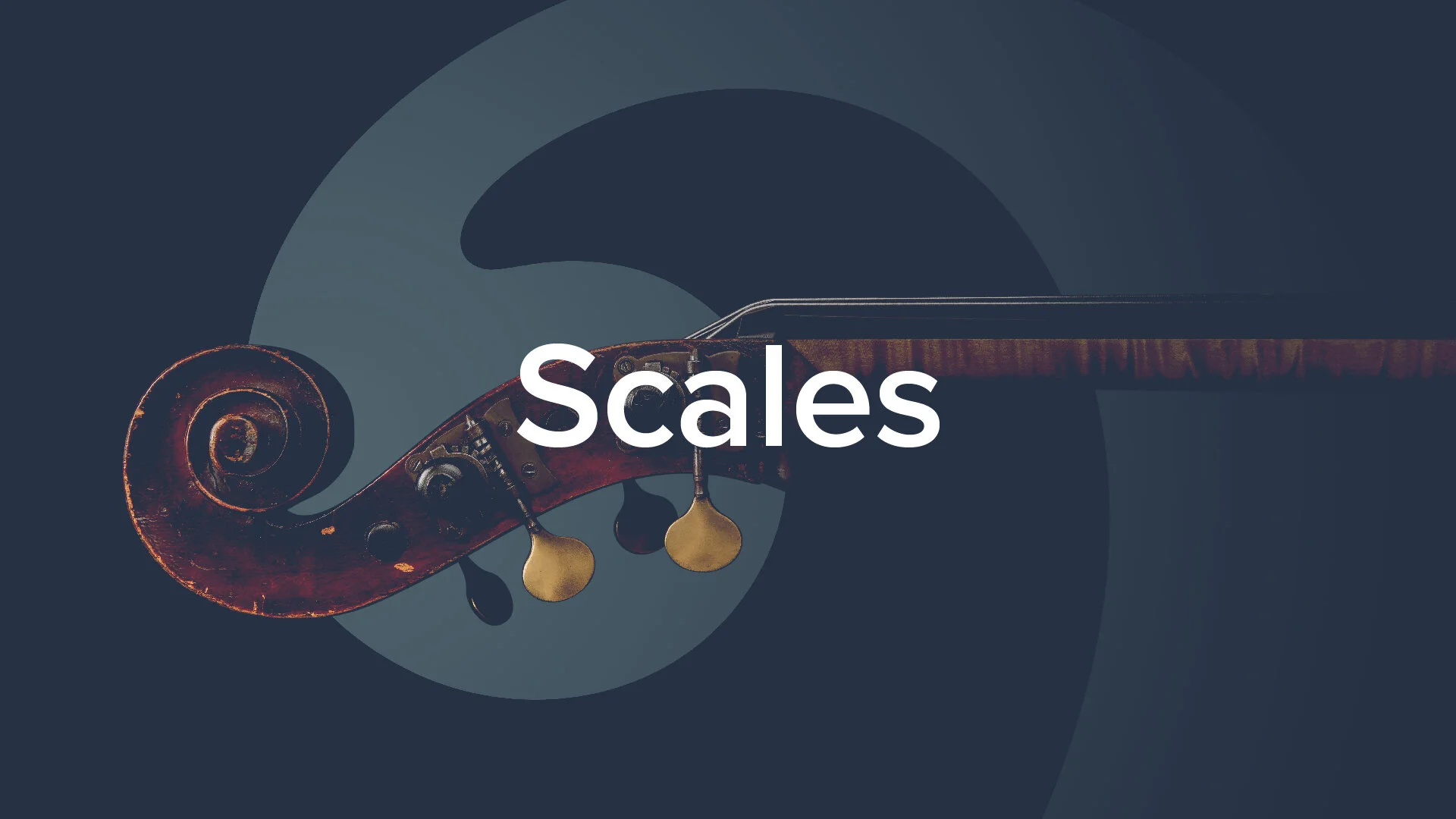 Major Scales for Double Bass (free PDF) — Discover Double Bass