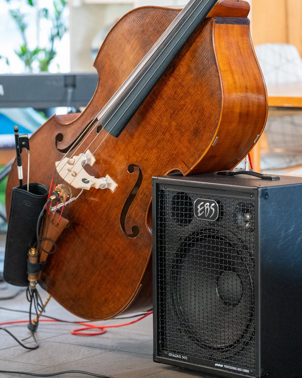 String Height and Fingerboard Set Up with Elinore Morris — Discover ...